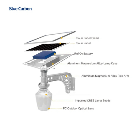 Blue carbon dan svet chiroqlar