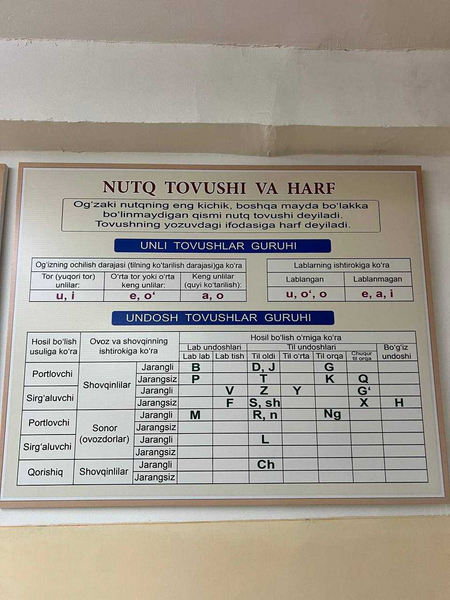 Мактаб кургазмалари