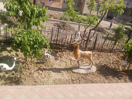 Дом 1 этаж полисадник