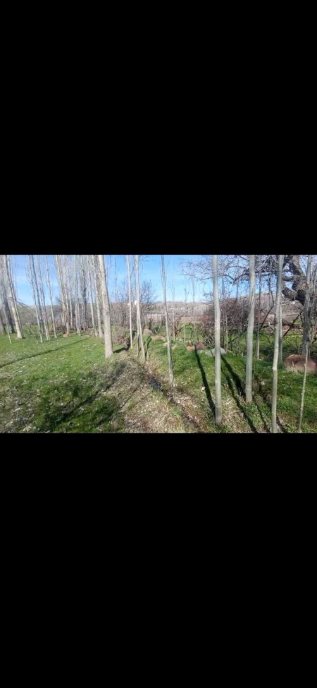 SROCHNA DALA HOVLI 32 sotix srochna