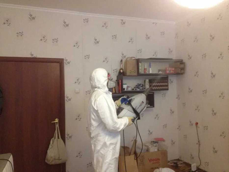 Дезинфекция клапа клопов уничтожение клопов обработка клопов