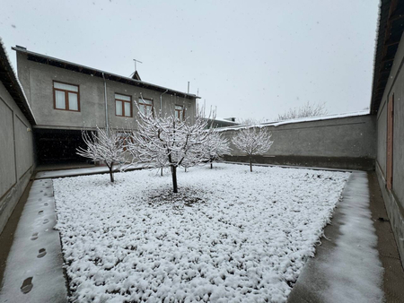 5 хона учаскс центрда
