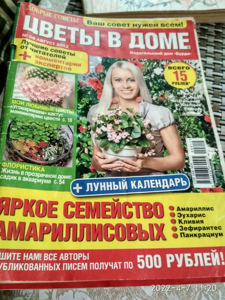 Комнатные цветочные растения и брошюры 