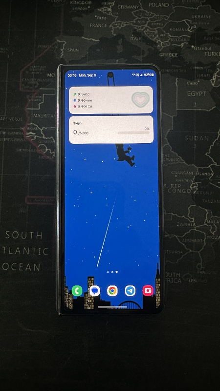 Samsung Galaxy Z Fold 4 / 256 GB
