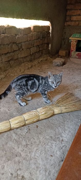 Маленькая принцесса ищет добрые руки