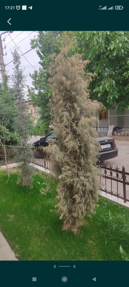 Bogbon agranom xizmati