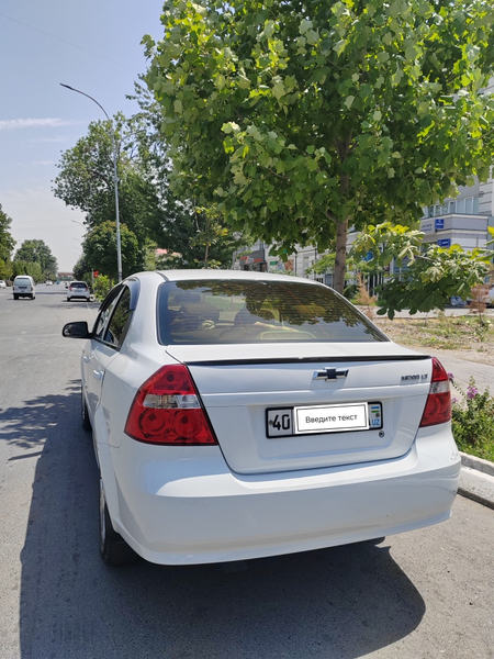 Tayor banki bor srkchna sktiladi