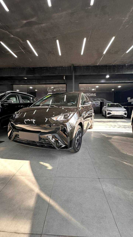 BYD Seagul sotuvda bor