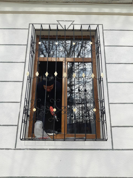 Решотка навес казирок за 3-дня