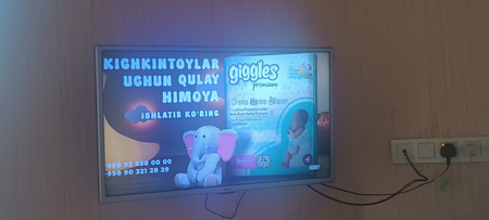 Televizor LG 32 (smart emas)