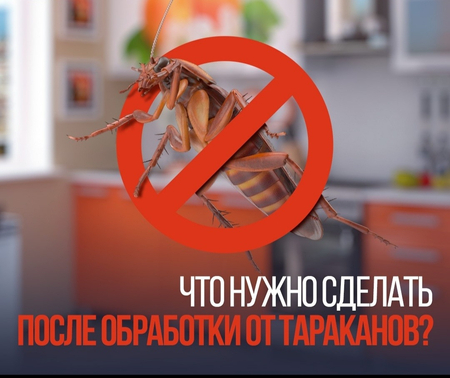 Tarakan va klopaga qarshi kurashamiz 24/7