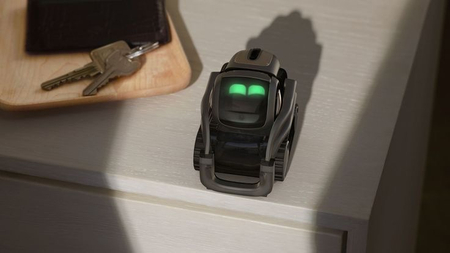 Vector Anki Robot