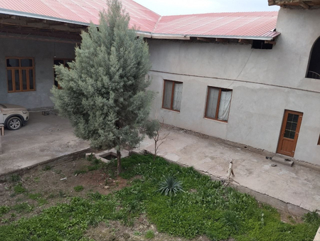 Xovli 6 sutix sotiladi
