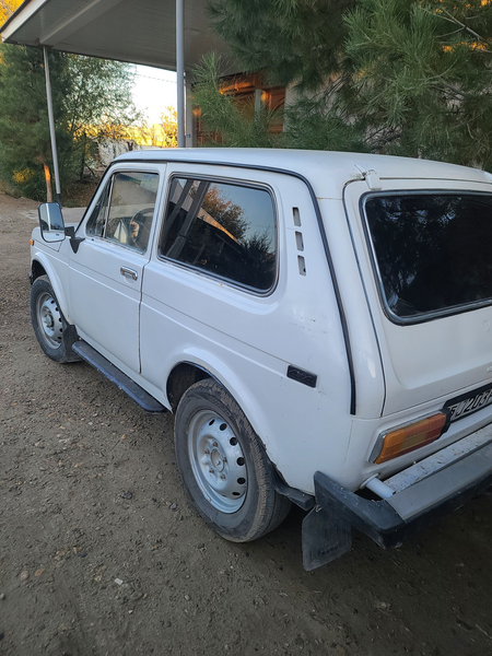 Niva sotiladi 1985 razdatka peredok bor
