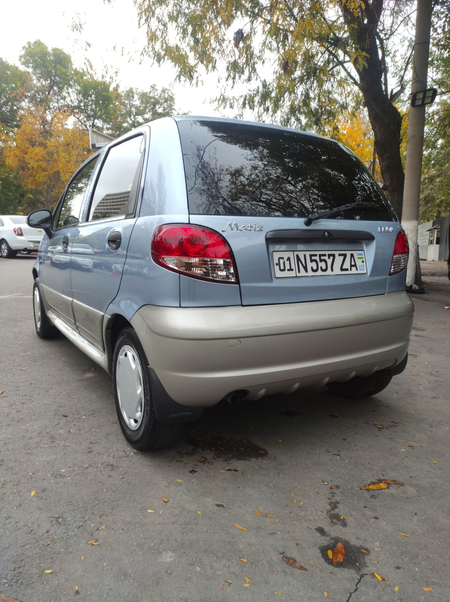 Matiz Best delfin
