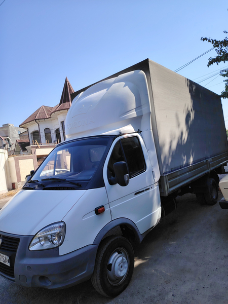 Oladiganlar tel qilsin