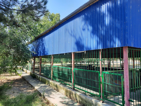Moshinchala Avtodrom Parkni ichida