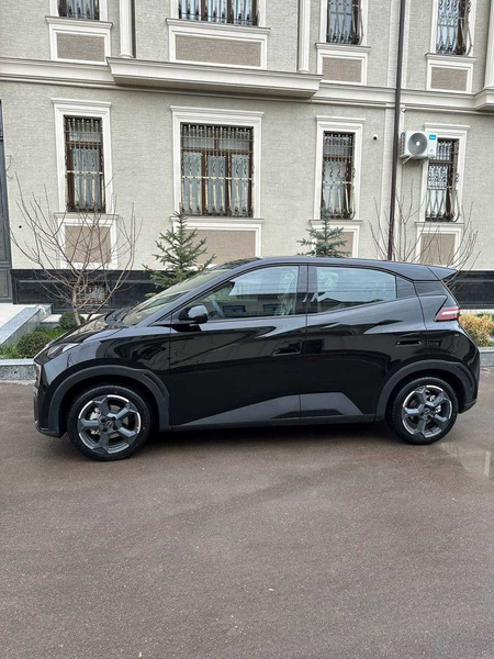 Bolib tulashga BYD Seguall  avtomobili beriladi