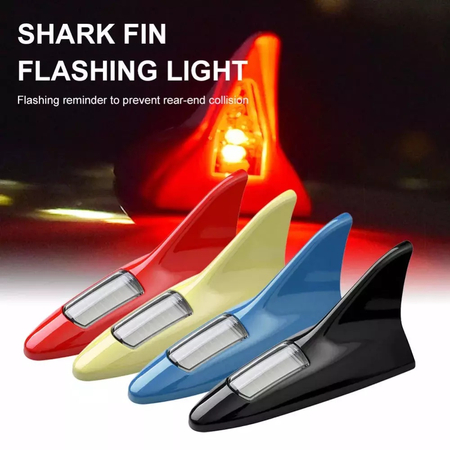 SHARK WING mashenaga