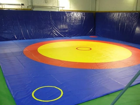 Спортивные маты, БОРЦОВСКИЙ ковёр тент, Ковер,tatami, маты гимнастика