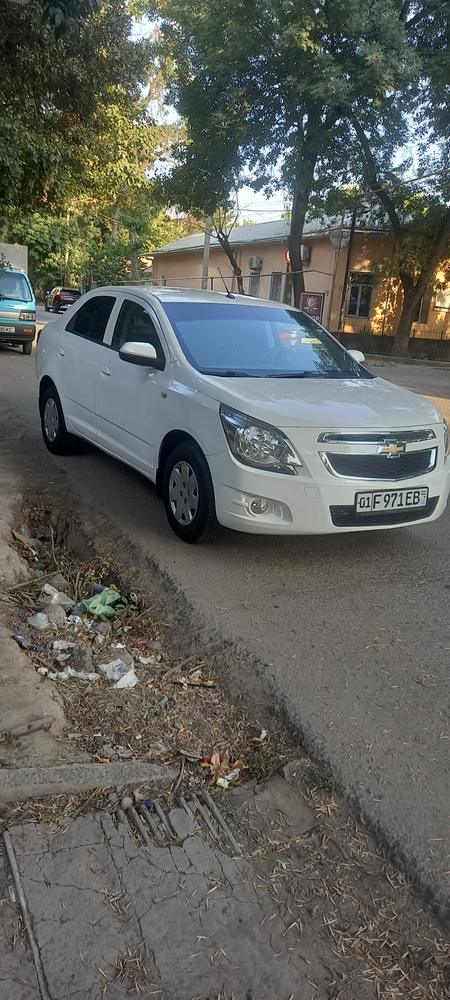 Коблт сотилади 2019 2позиция