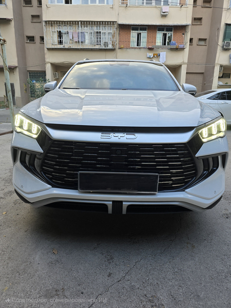 Byd Champion 2024 Год 605км Полный FULL