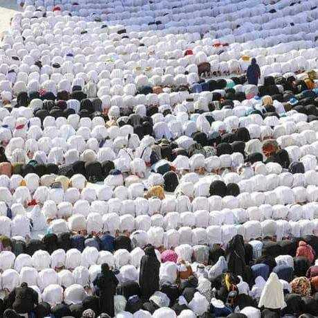 UMRA safari avgust sentabr КОМФОРТ paketlar 1250USD