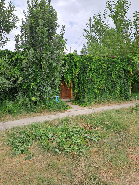 Рыбное хозяйство