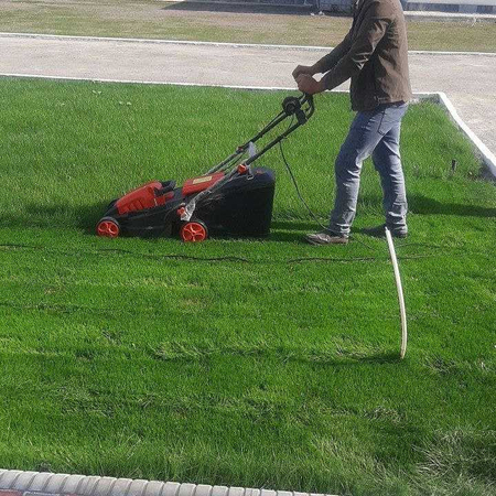 Gazon  o'rish xizmati