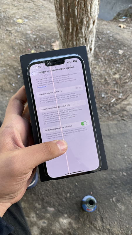 Iphone 13 pro max 256gb