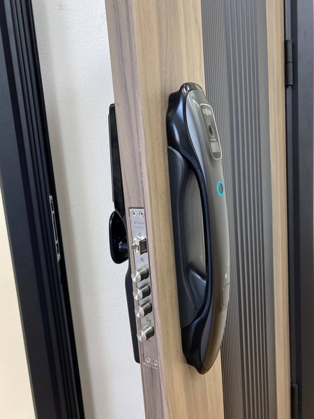 Elektron qulf.  smart lock