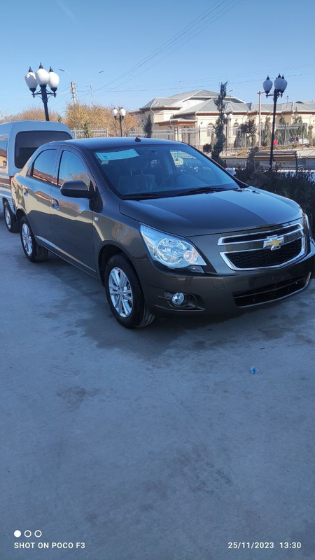 Cobalt shoʻt aftamat 23/24