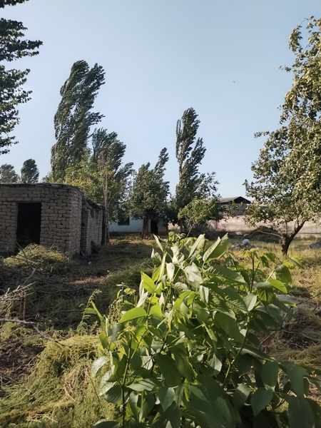 Assalom Aleykum 10