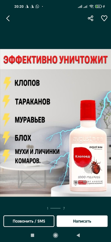 Klopa dori,  клопа дори