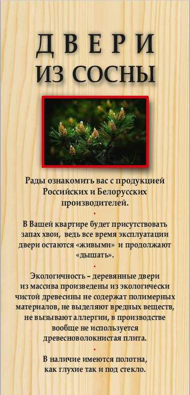 ДВЕРИ из массива сосны. Производство Россия и Белоруссия