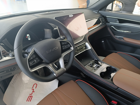 BYD song champion.