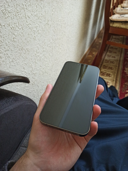 Iphone 13 pro max ideal