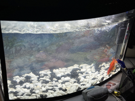 aquarium,akvarium,аквариюм 60l
