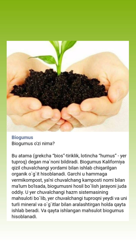 Biogumus va koliforniya qizil chuvalchangi sotiladi
