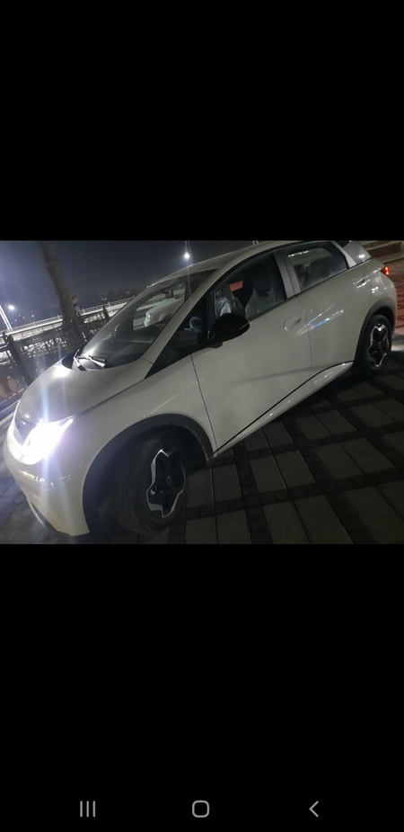 Byd dolphin (delfin)
