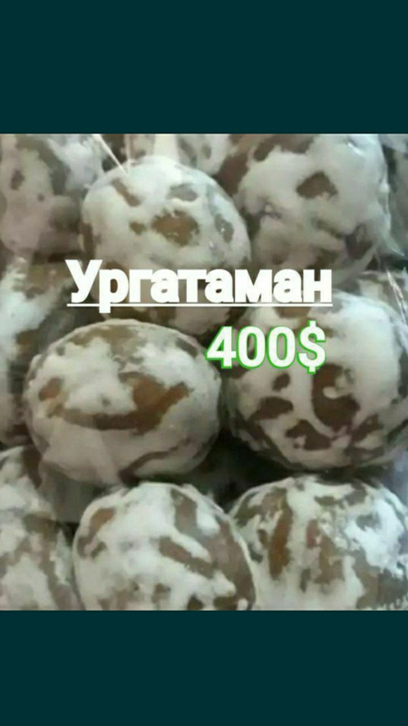 Бир кунда яширмай ургатамиз