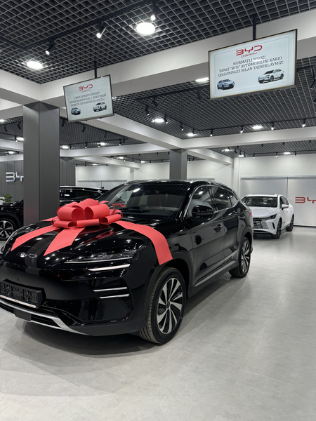 BYD Song Plus EV Champion