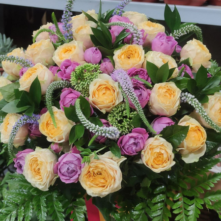 Royal Roses GUL DO'KONI