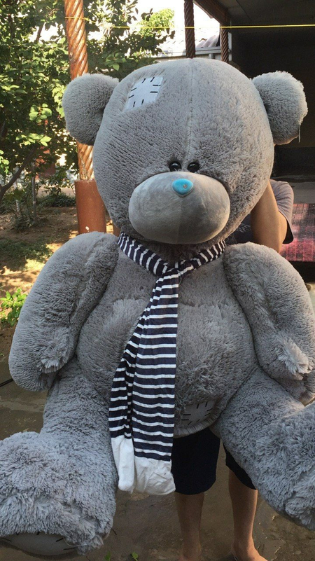 Teddi 1+1 Teddy Teddiy Tedi Теддй Тедди Eng Arzon Narxda