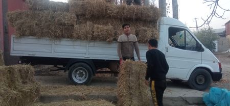 Ford yuk Bort tent gba ruhsati bor