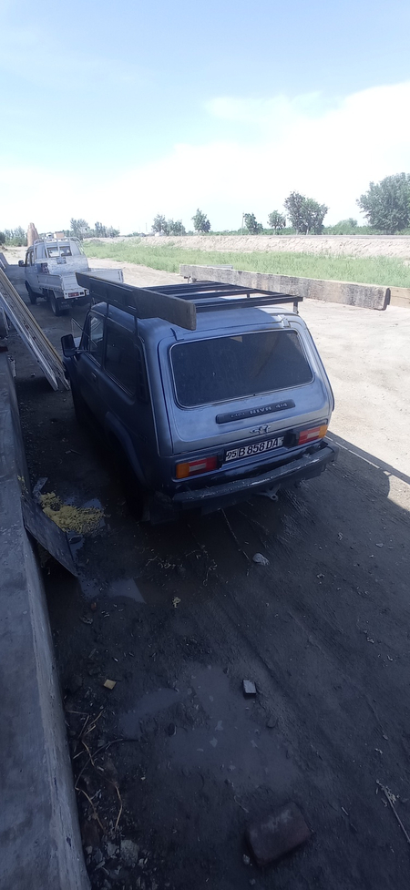 Niva sotiladi srochny pul kerak