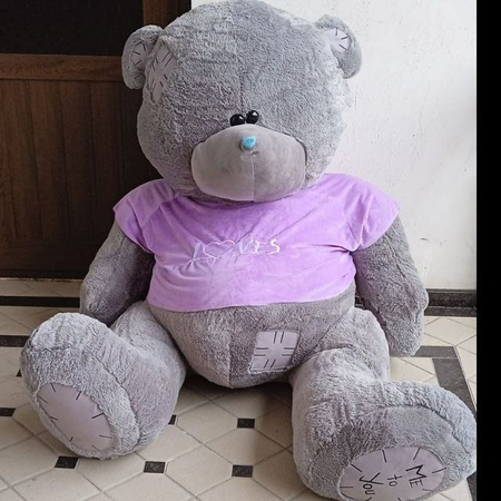 Teddy ayiglarmiz