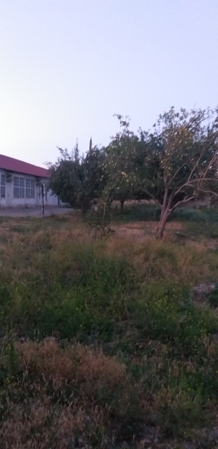 Часни домик сурочни прадайотса