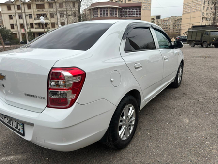 COBALT LTZ Style 2022