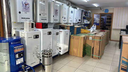 Котел Двухконтурный Газовый Bear Casela Ruls Immer Baxi Navien